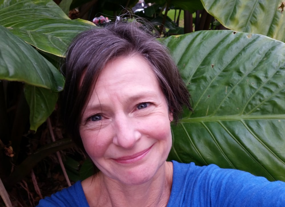 About – Mind Ecology